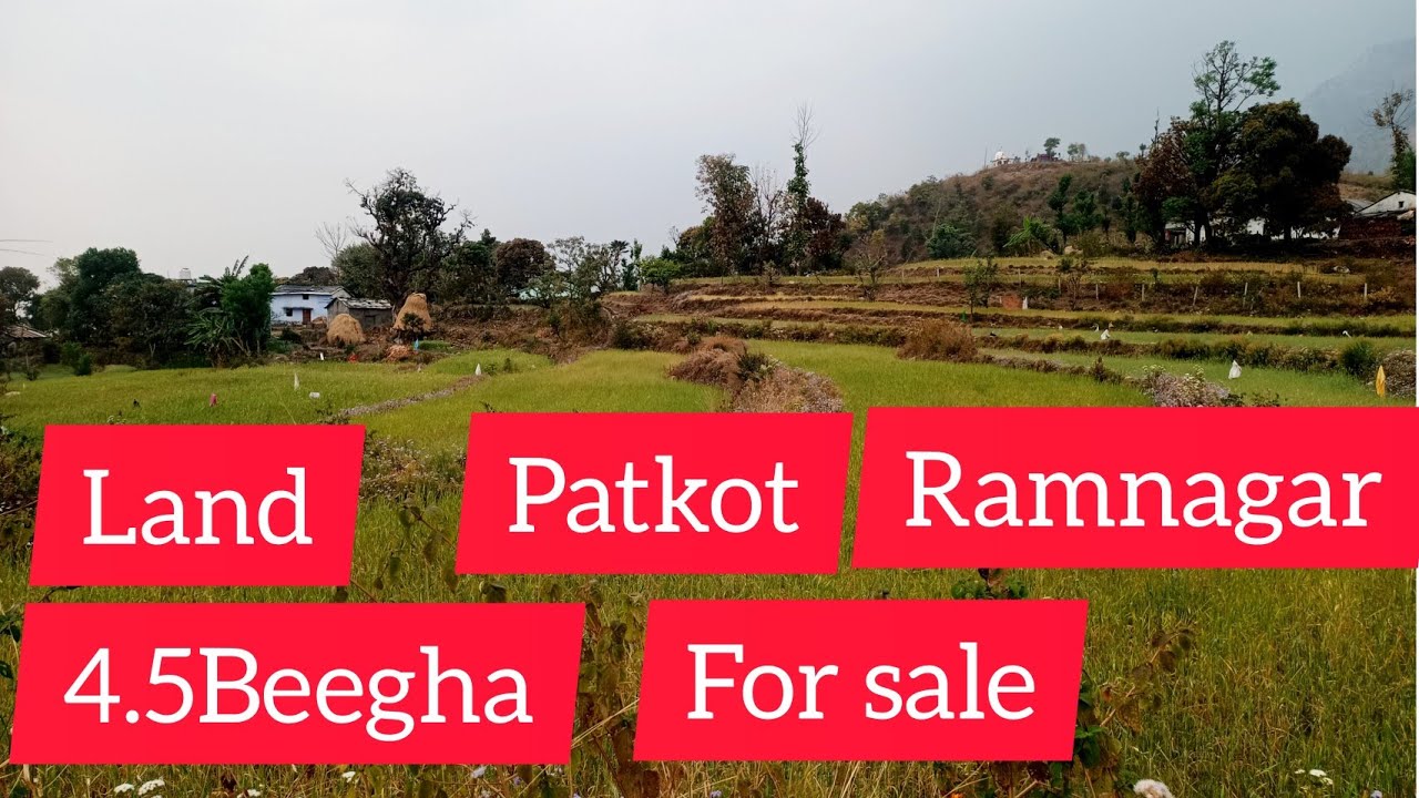 Patkot Land for sale #uttarakhand #nainital #haldwani #jimcorbett - YouTube
