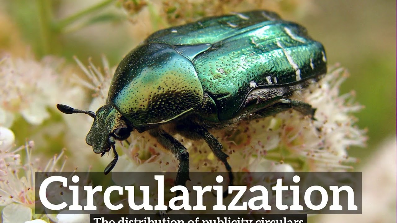 What is Circularization? | How Does Circularization Look? | How to Say ...