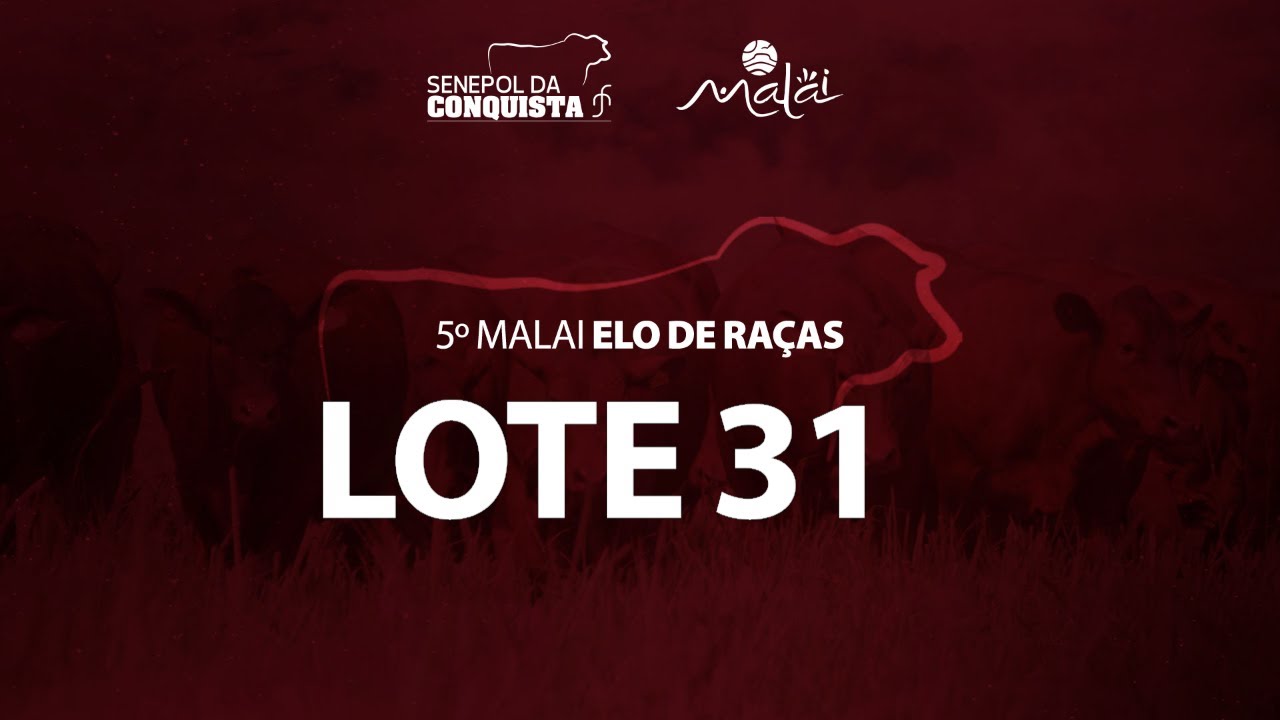 LOTE 31 CONQ 1877 - YouTube