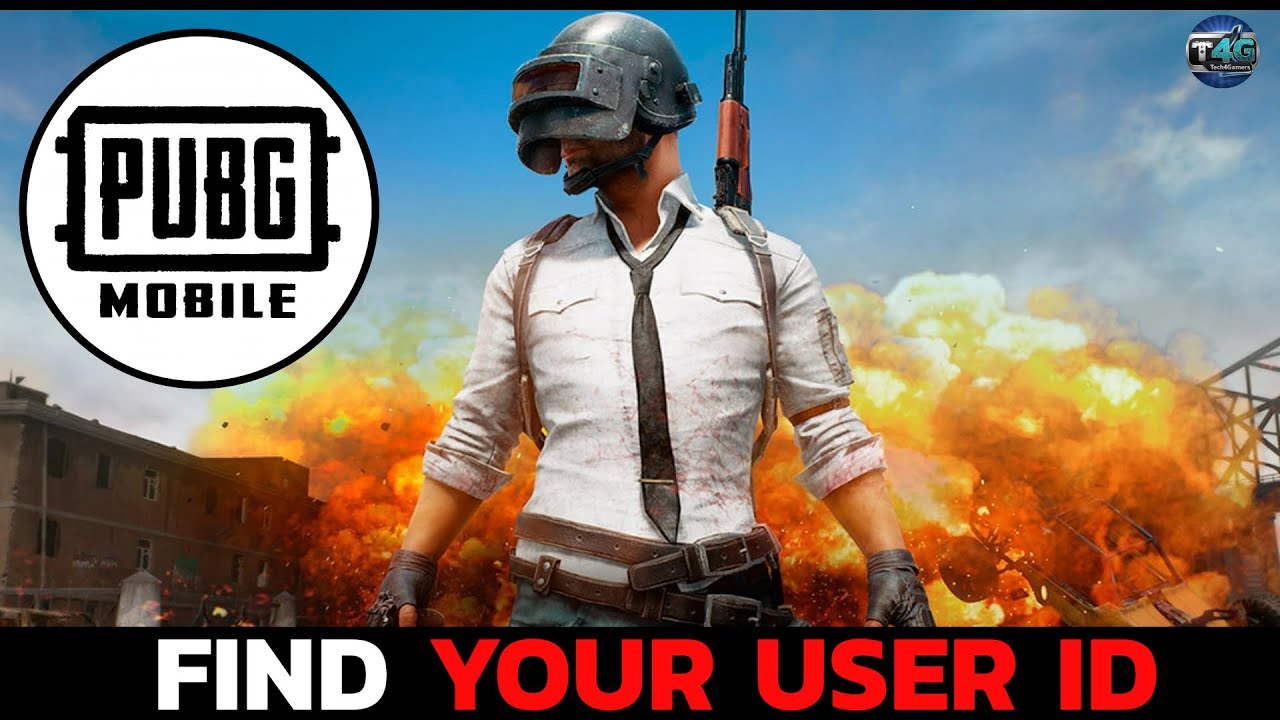How to Find Your PUBG User ID? Get Your PUBG User ID in Just a Few ...