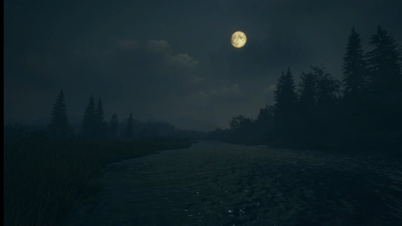 Full moon NIGHT&SOUNDS of NATURE|Полнолуние НОЧЬ И ЗВУКИ ПРИРОДЫ - YouTube