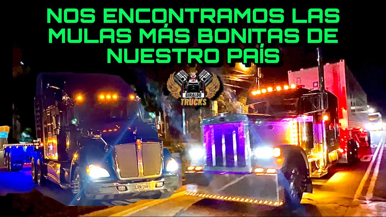 Nos encontramos la línea de mulas más bonitas de Colombia , que chimba ...