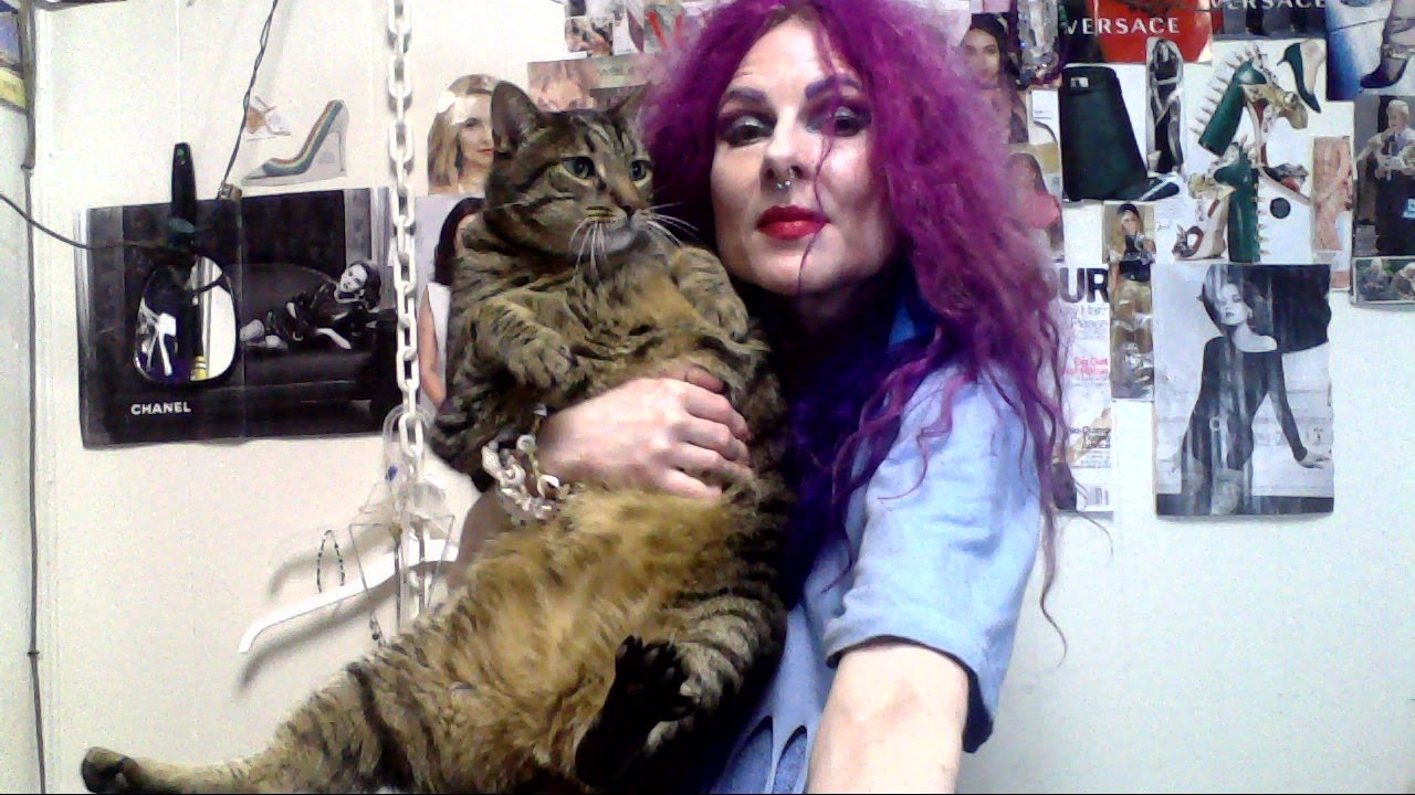 I Love To Volunteer For The Cats But I Can't Take Sun Exposure (Leathur ...