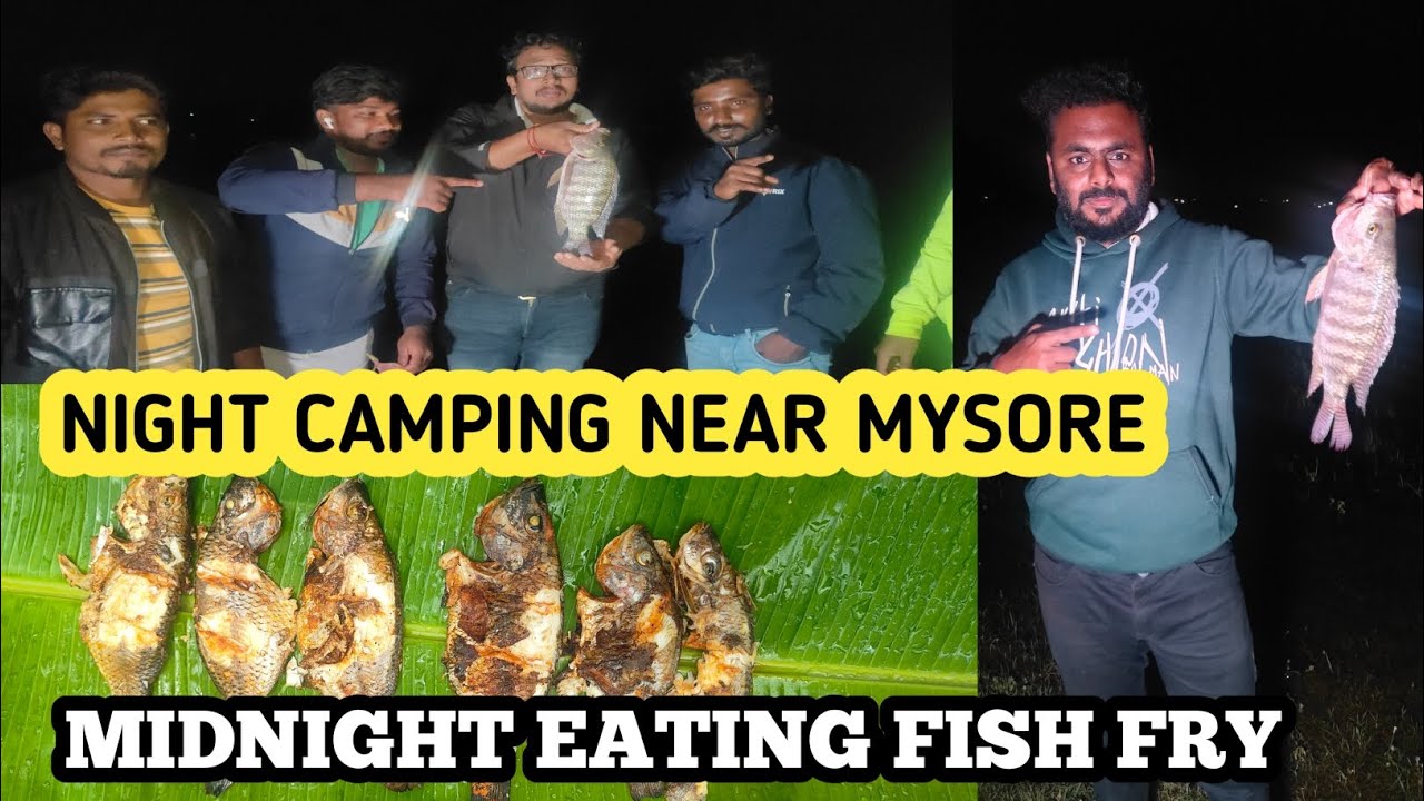 Midnight Eating Fish Fry | Night Camping Near Mysore | - YouTube