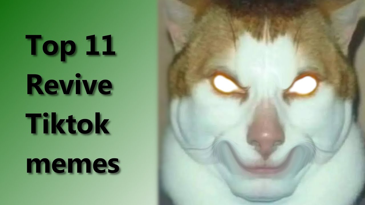 Top 11 Tiktok Revive memes - YouTube