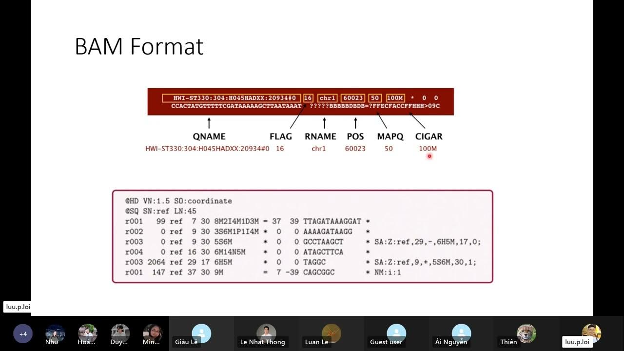 Bulk RNA-seq 4. Part 3: Genome and File Formats - YouTube