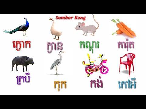 រៀនប្រកបពាក្យ ជាមួយរូបភាព ព្យញ្ជនៈ"ក"/Learn spelling words with ...
