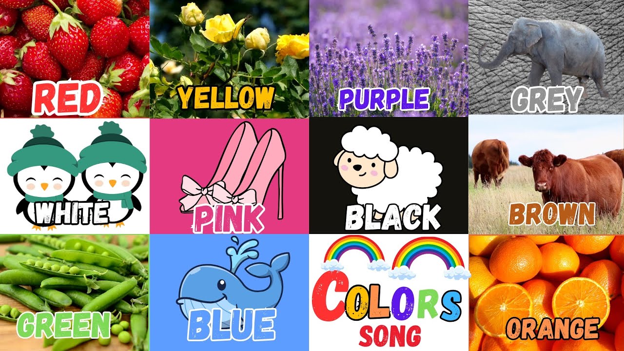The Colors Song | Learn the Colors / Colours | Nursery Rhymes For Kids ...