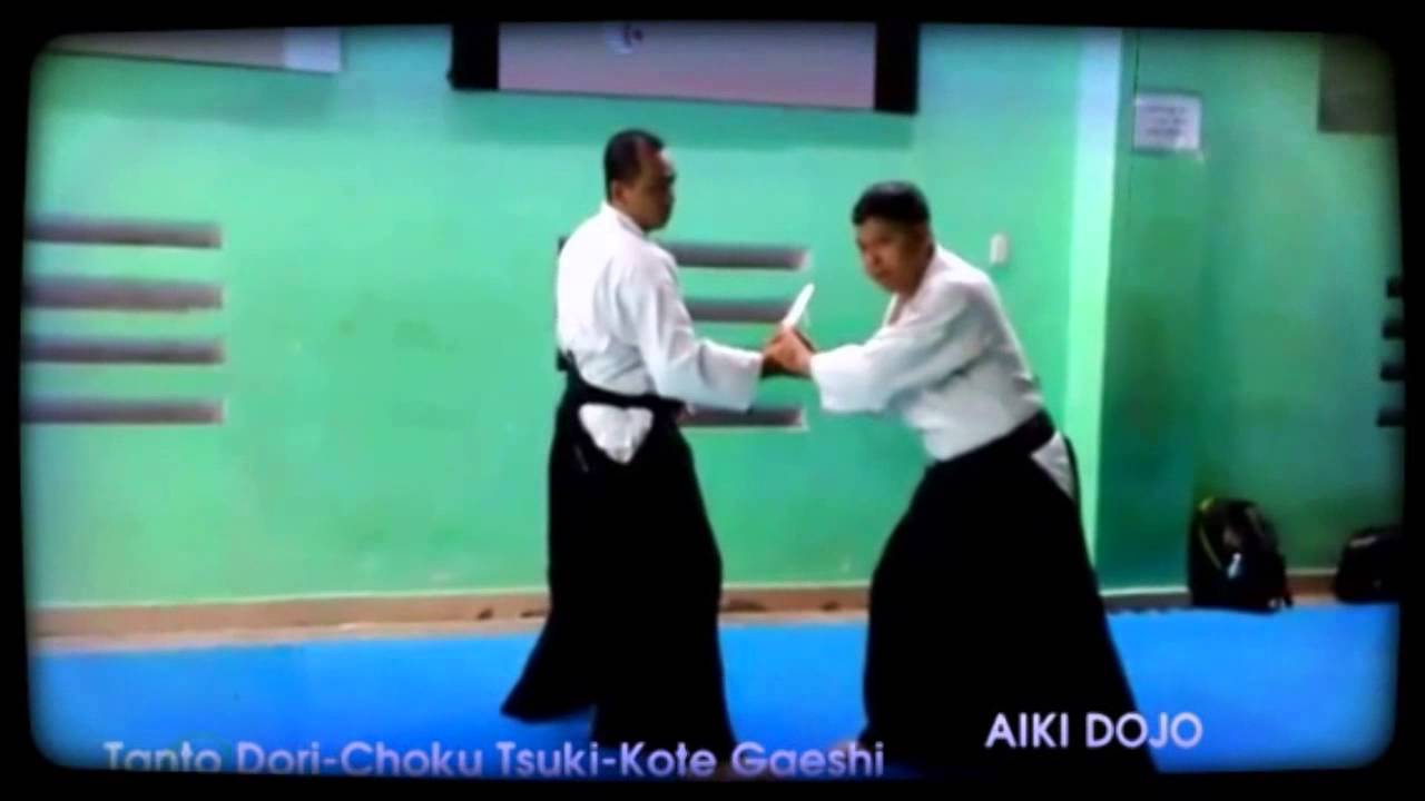 introduction of Aiki Dojo. thanks for watching - YouTube