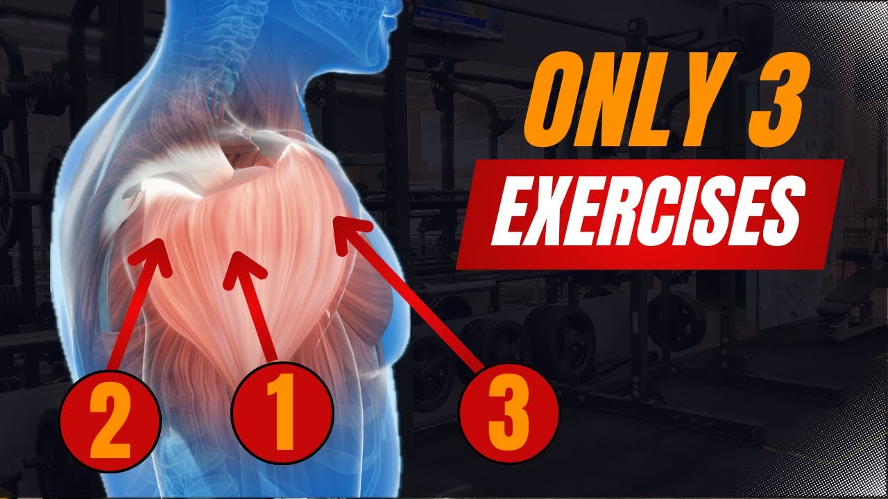Sometimes LESS is MORE - 3 SIMPLE Exercises to Build BROAD Shoulders ...