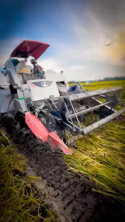 Máy Cắt Lúa 🌾 - YouTube