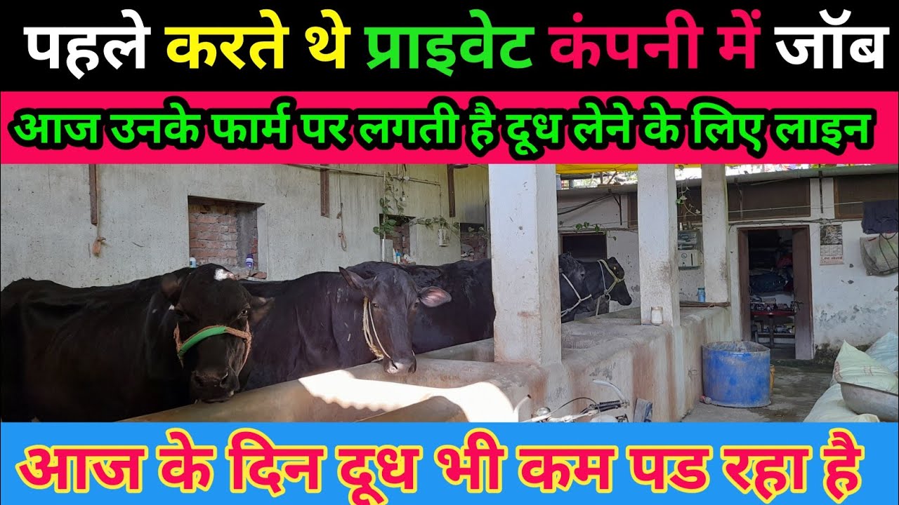 फार्म ऐसे करो लोगों की लाइन लग जाये/मजा आ जायेगा/hf cow/Top hf bull ...