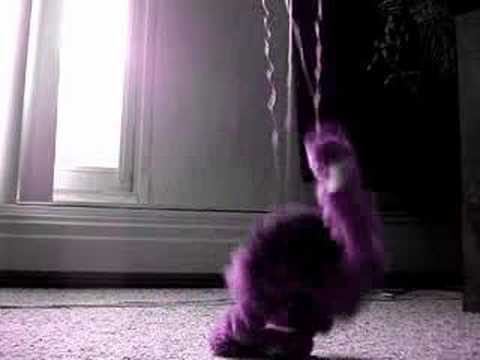 raving bird - YouTube