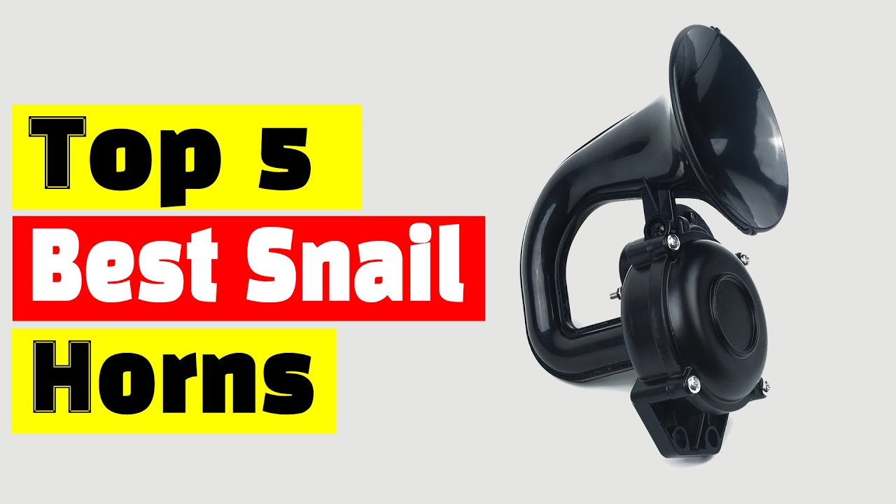Best Snail Car Horn: Top 5 Best Snail Horn In 2024 - YouTube