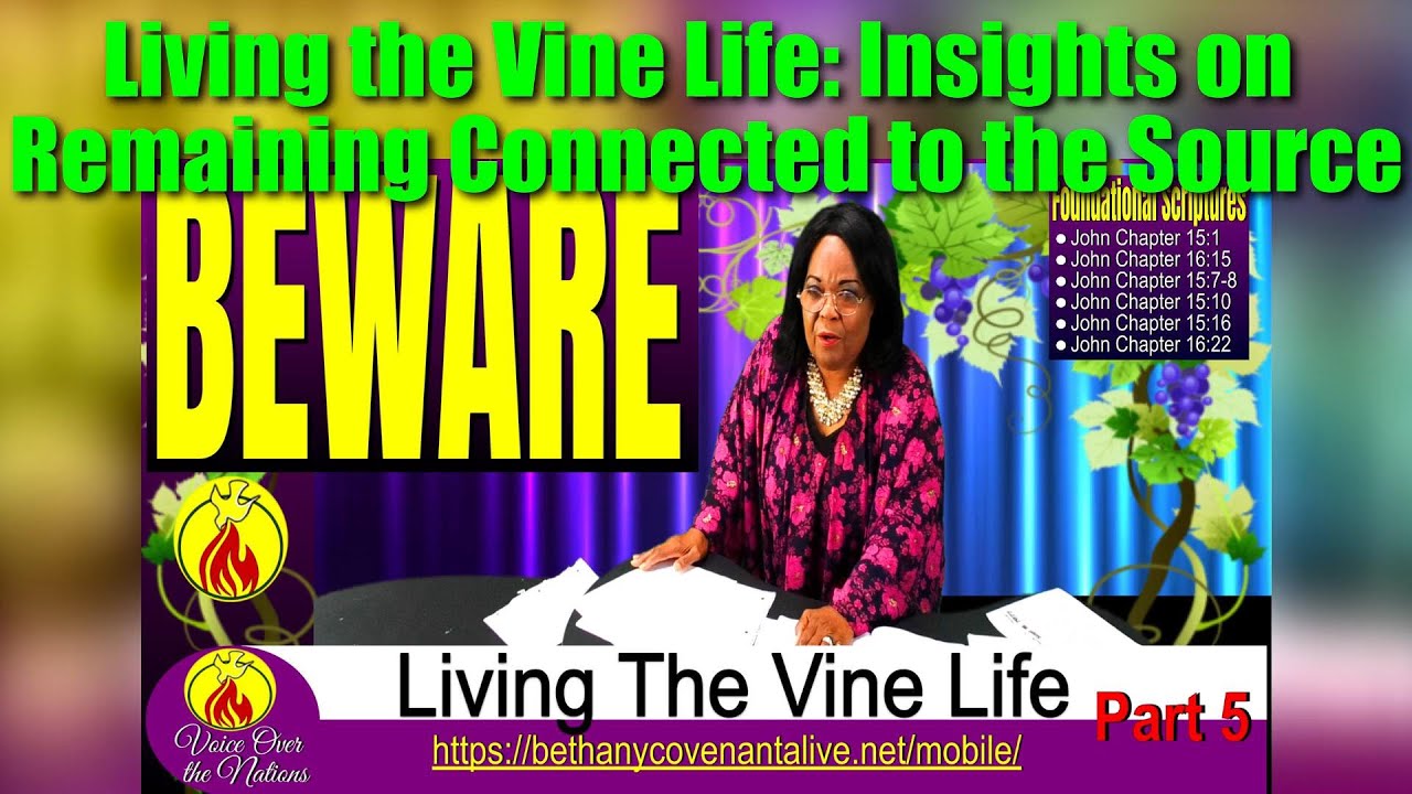 Living the Vine Life: Insights on Remaining Connected to the Source ...