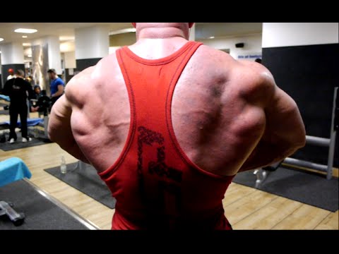 Ripped Back Workout - YouTube