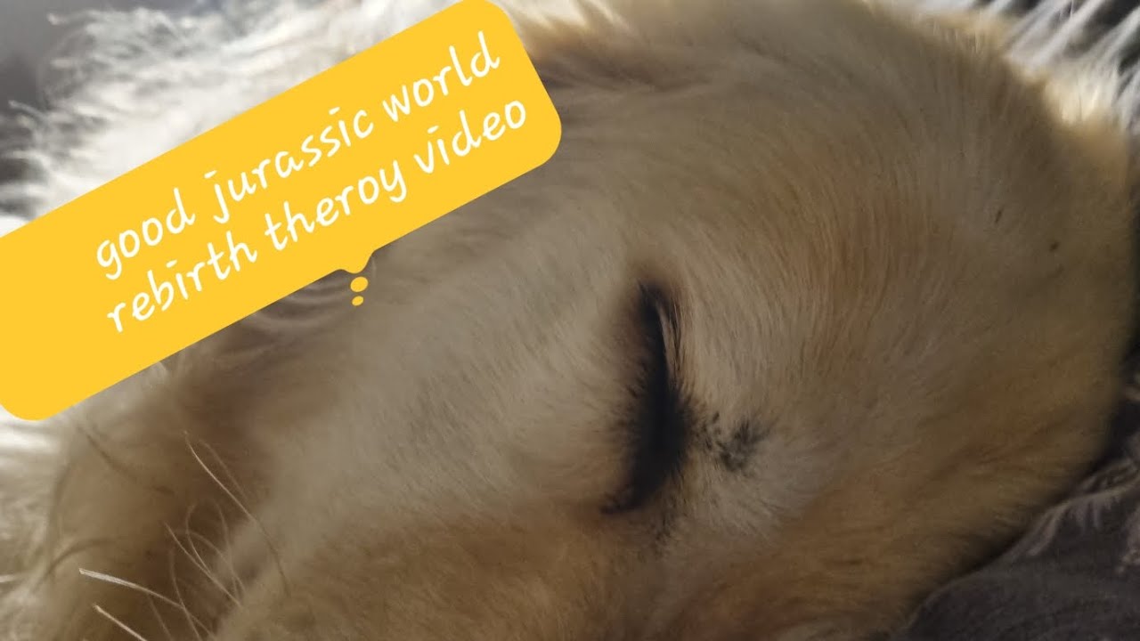 JURRASIC WORLD REBIRTH THEORY/What happened to rexy? And, what will ...