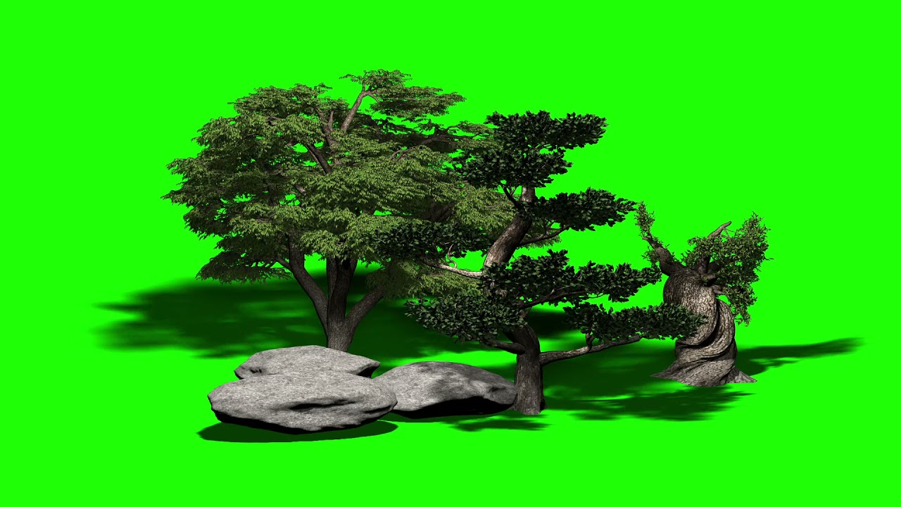 Trees with wind green screen and blue screen video - YouTube