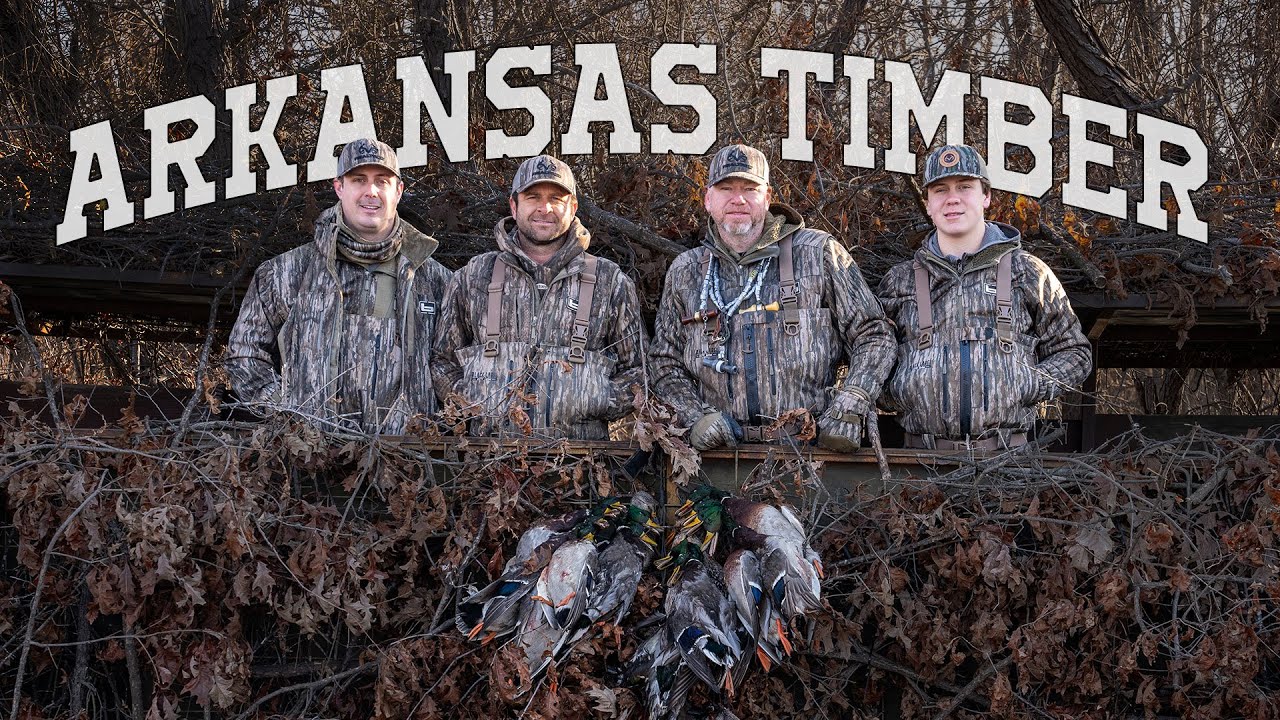 Duck Hunting Arkansas | Mallards in the Timber | Black Cloud - YouTube
