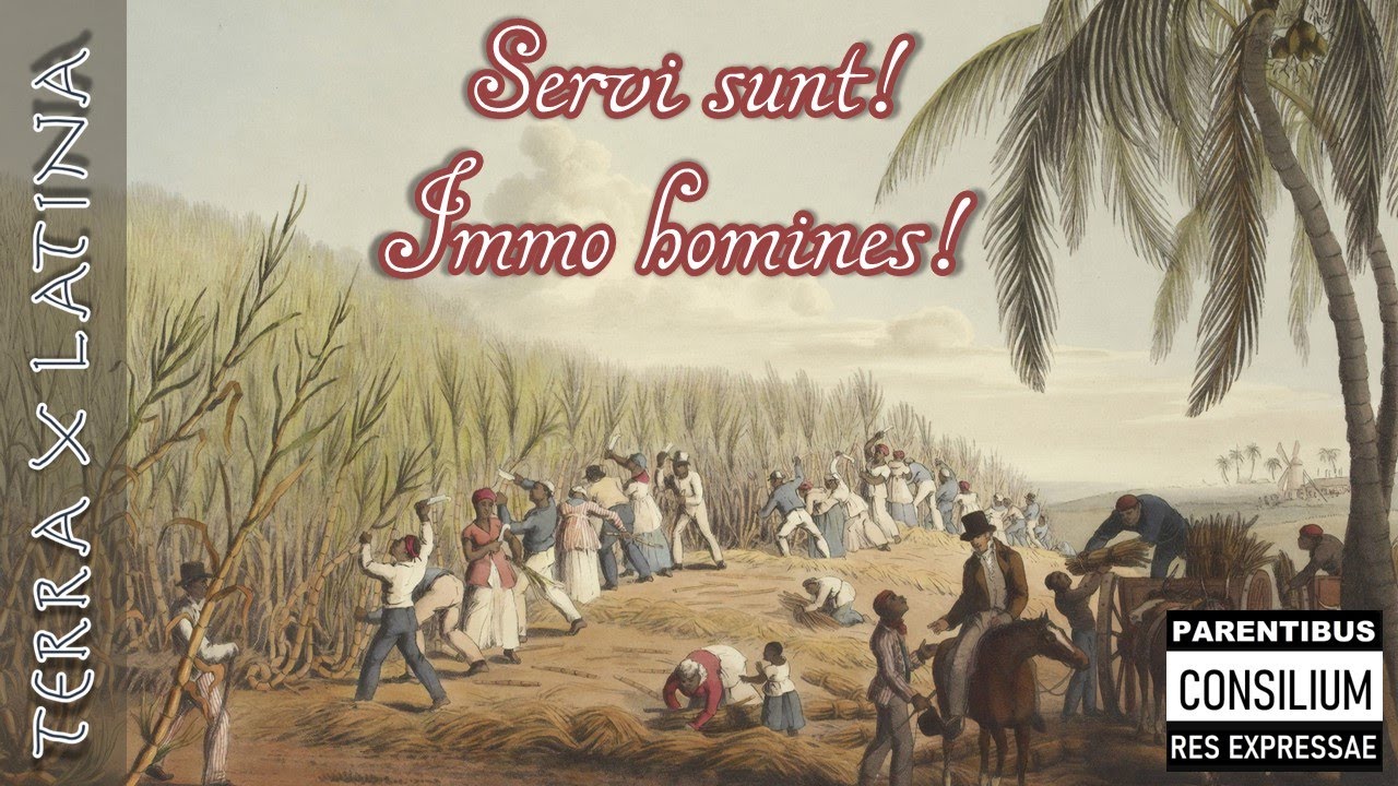 Latina provectioribus (B2) 🏛 Servi sunt. - Immo homines! - YouTube