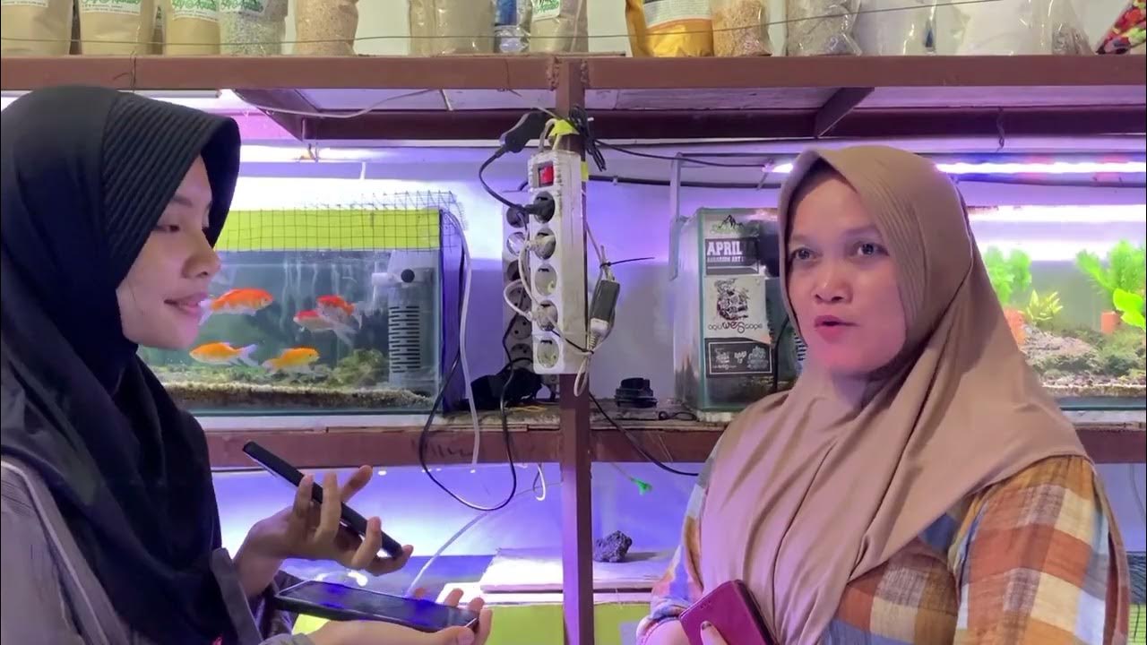 Wawancara Budidaya Ikan Hias Kelompok 4 Youtube