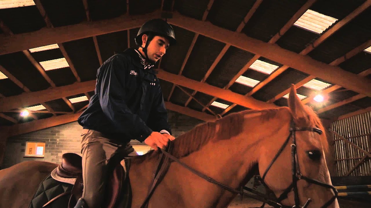 Monter les obstacles pour votre cheval - Equidia Life - YouTube