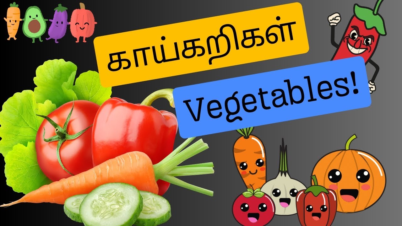 Vegetables Name | காய்கறிகளின் பெயர்கள் |vegetables learning in English ...