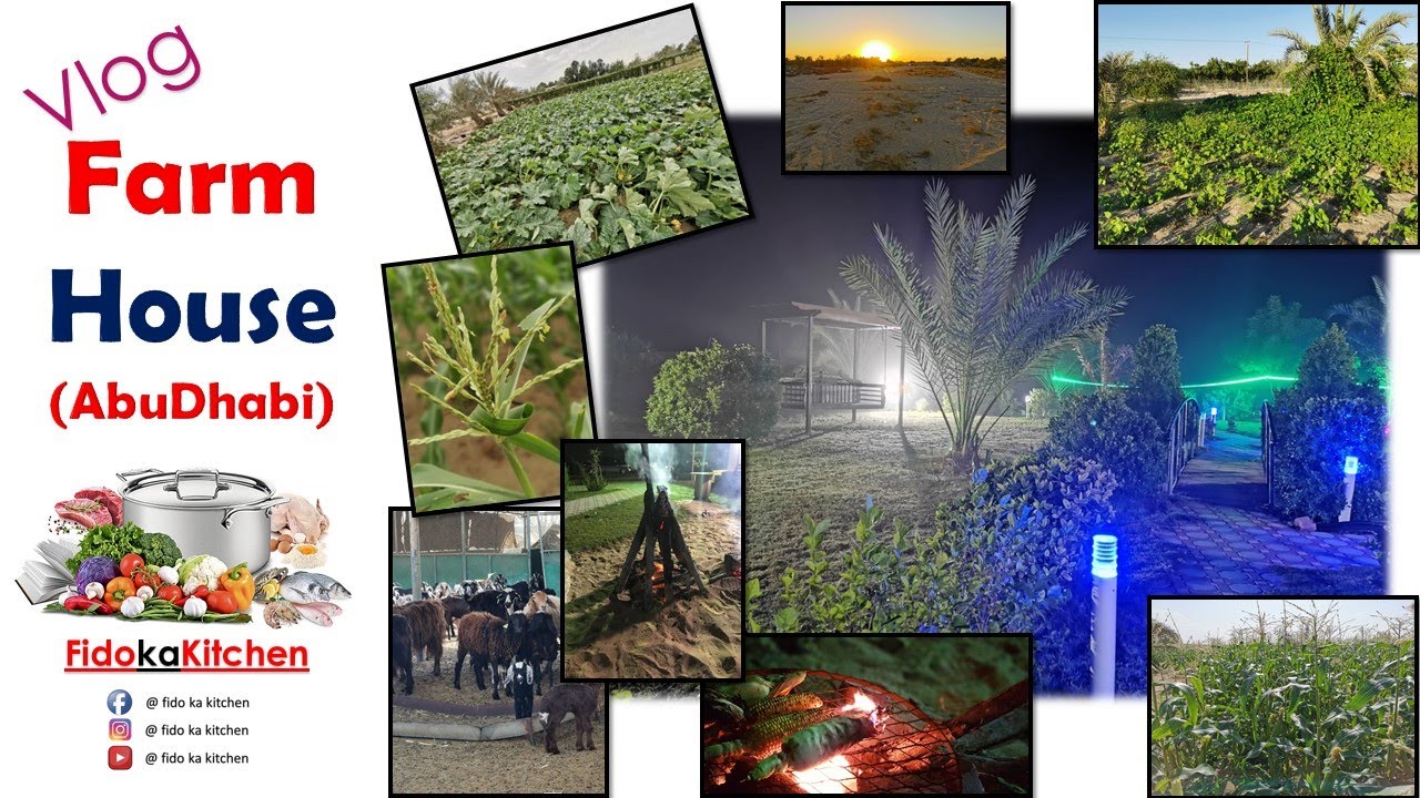 Visit to farm house in AbuDhabi (ajban) - YouTube