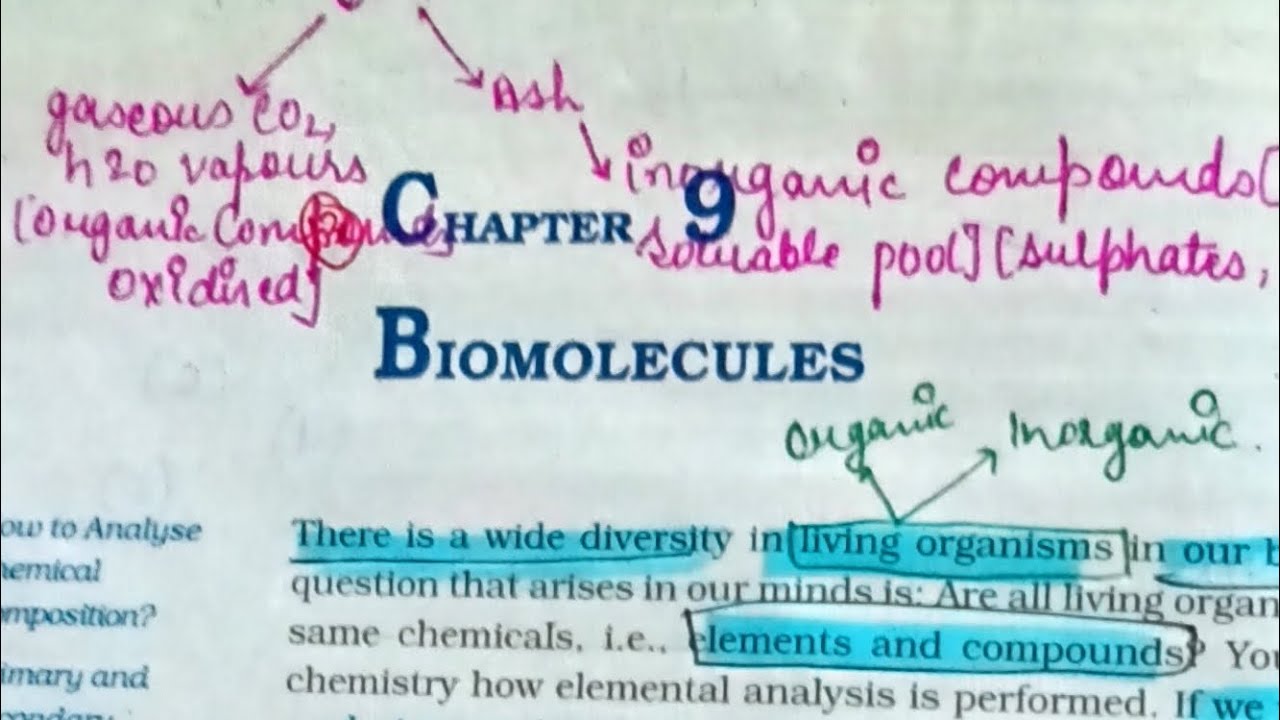 |1 DAY 1 CHAPTER | Biomolecules | Study with me| - YouTube