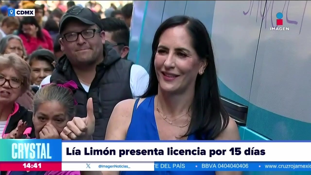 Lía Limón presenta licencia para ausentarse por 15 días | Noticias con ...