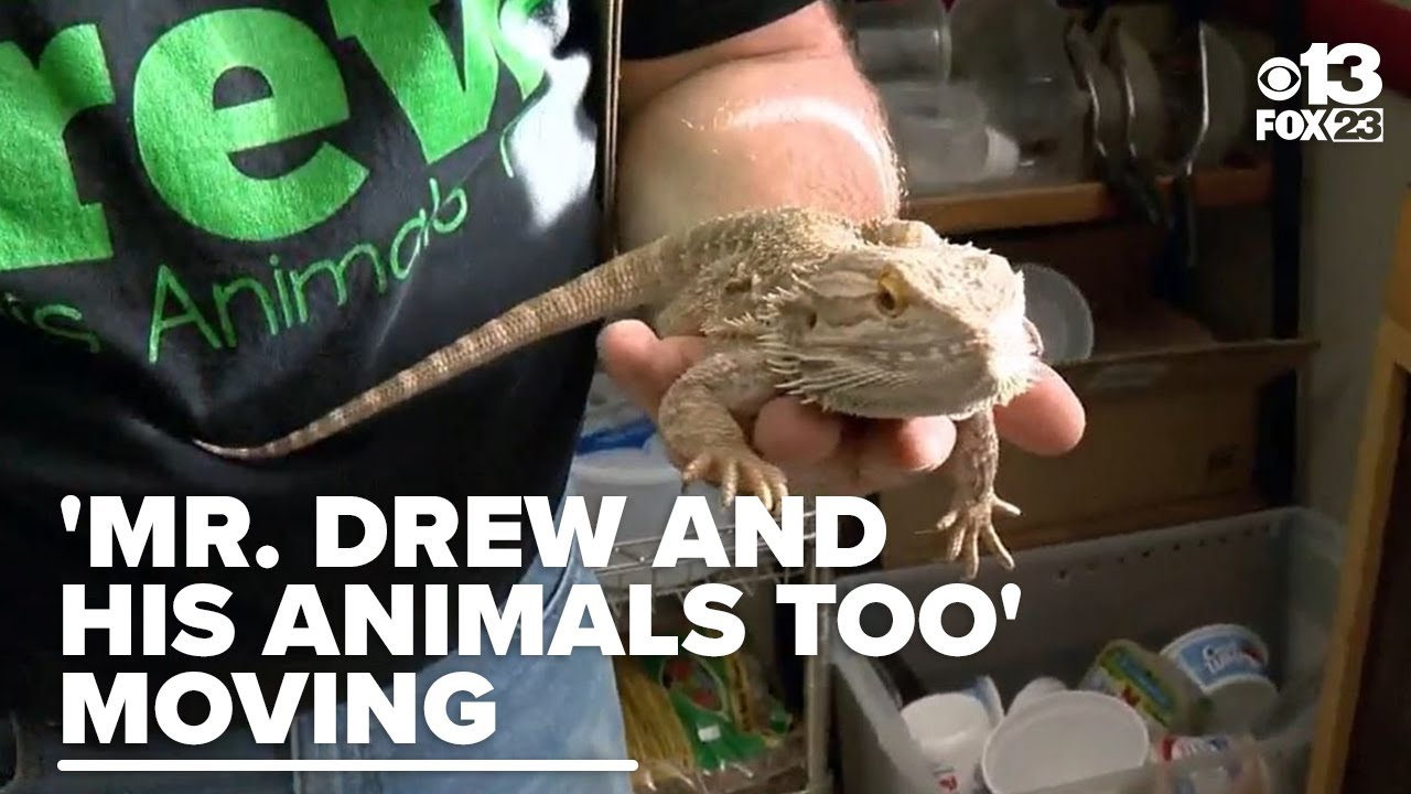 'Mr. Drew and His Animals, too' moving to Poland - YouTube