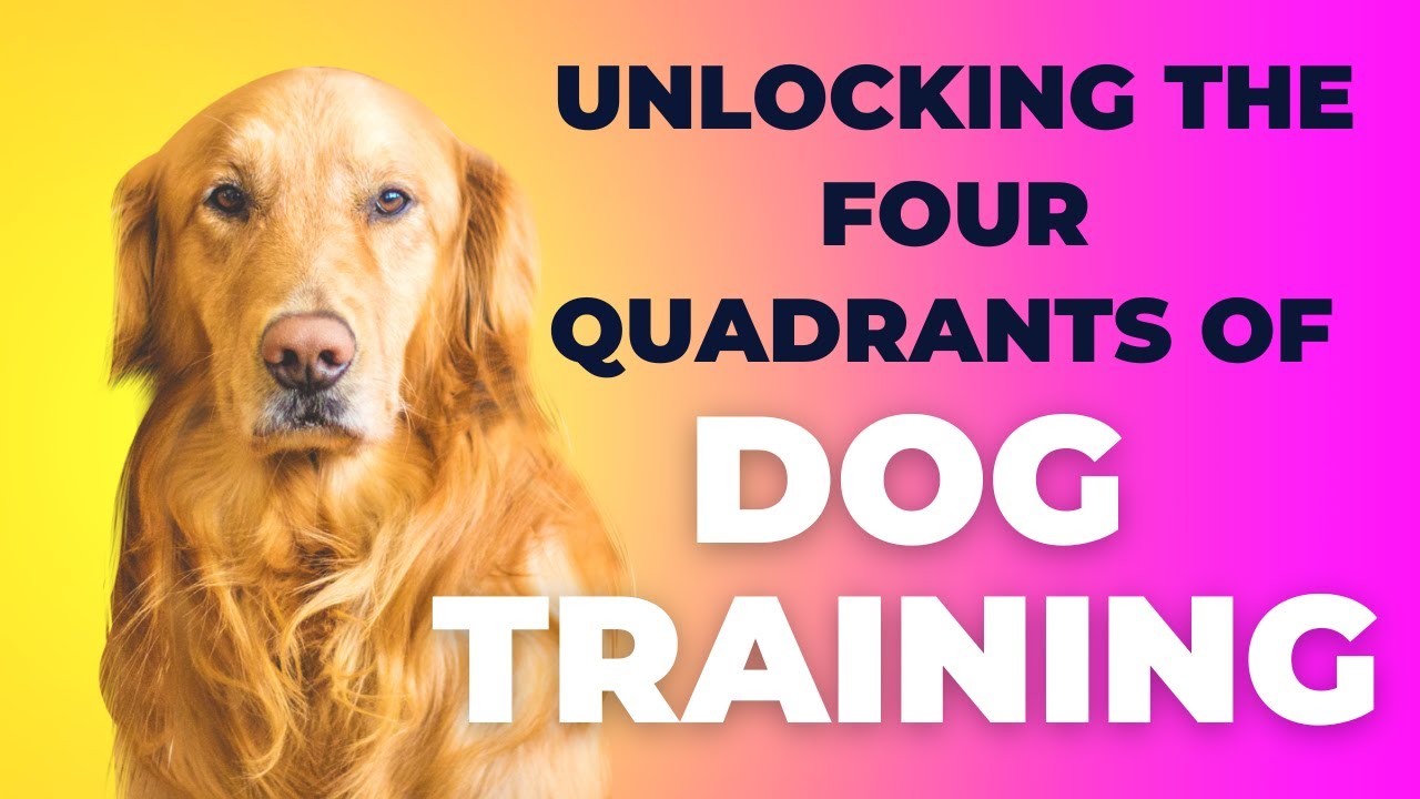 Unlocking the Four Quadrants of Dog Training | The Dog Trainers ...