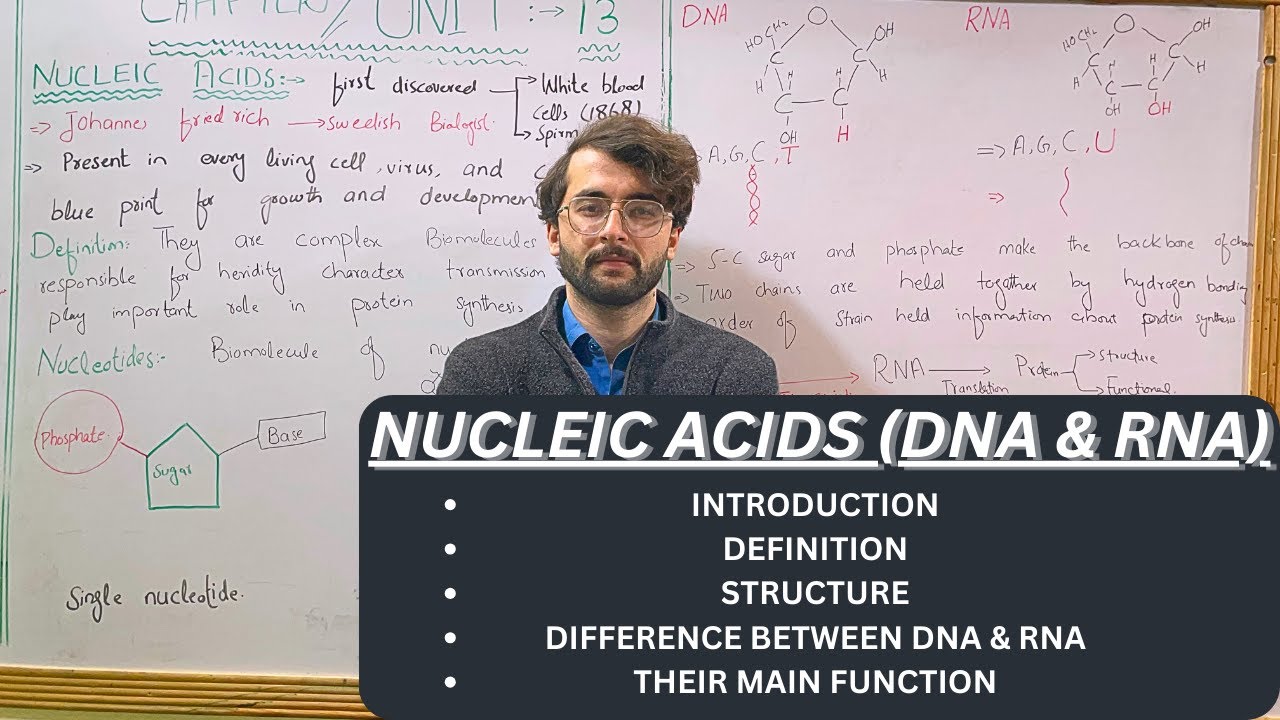 Nucleic acid || class 10 chemistry, unit 13 biochemistry || mmk ...