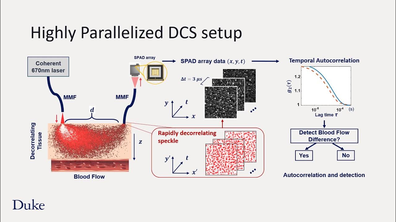 Introduction to Parallelized Diffuse Correlation Spectroscopy - YouTube