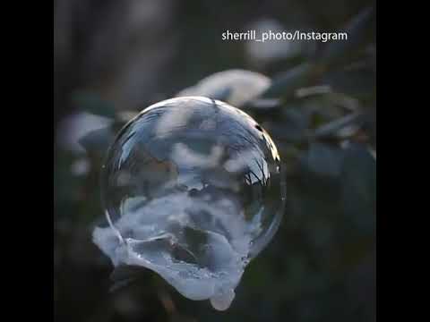 Baloncuk ve mükemmel donma anı