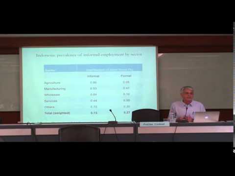 Do resource export booms discourage schooling in Indonesia? Prof. Ian ...