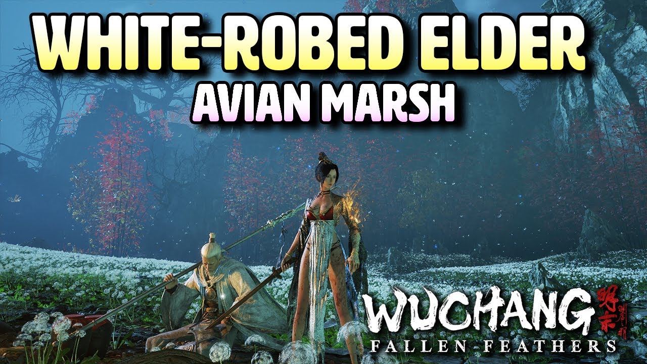 White-Robbed Elder NPC location in Avian March Mt. Zhenwu — Wuchang ...