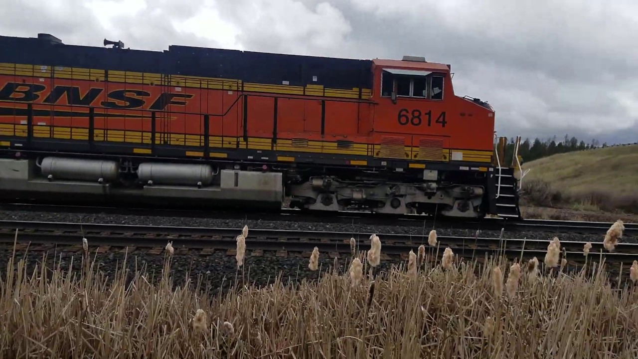 BNSF #6814 leads a High Priority Double Stacks Tain into Whitefish Yard @ medium approach for ...