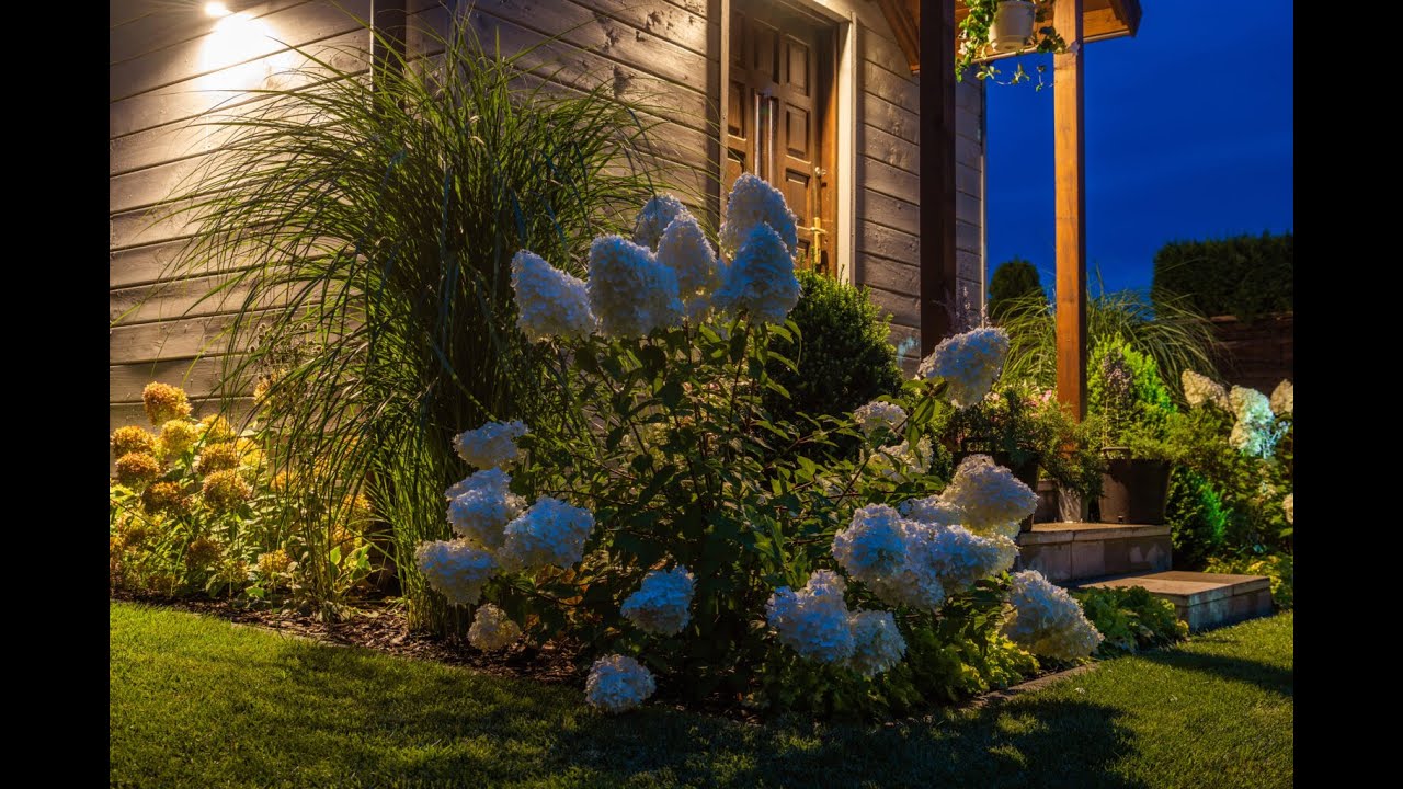 Moon Gardening: 10 things that will make your yard glow at night - YouTube