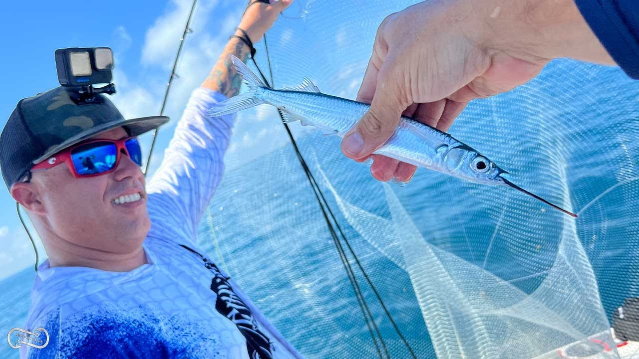 CATCH ALL THE BALLYHOO YOU NEED WITH A BALLYHOOP - YouTube