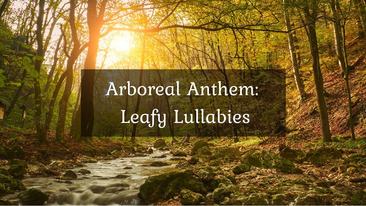 [] Arboreal Anthem: Leafy Lullabies • 4k Video UltraHD - YouTube