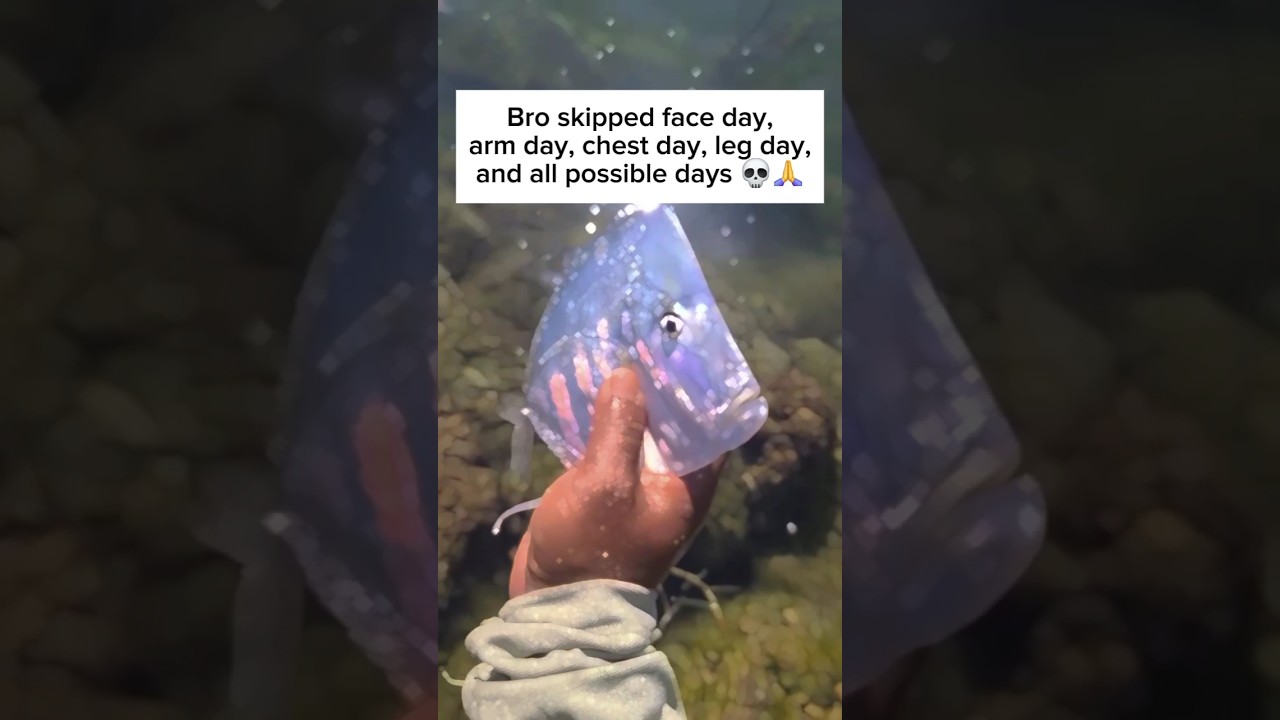 When you skip all days in gym #shorts #memes #funny #fitness - YouTube