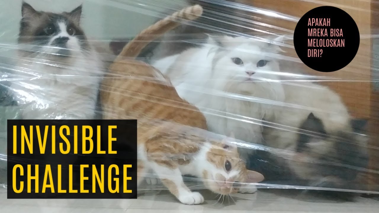 Invisible Challenge Indonesia - YouTube