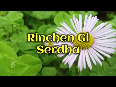 Rinchen Ghi serdha || Vocal off Karaoke || Namgay Jiggs|| Bhutanese song