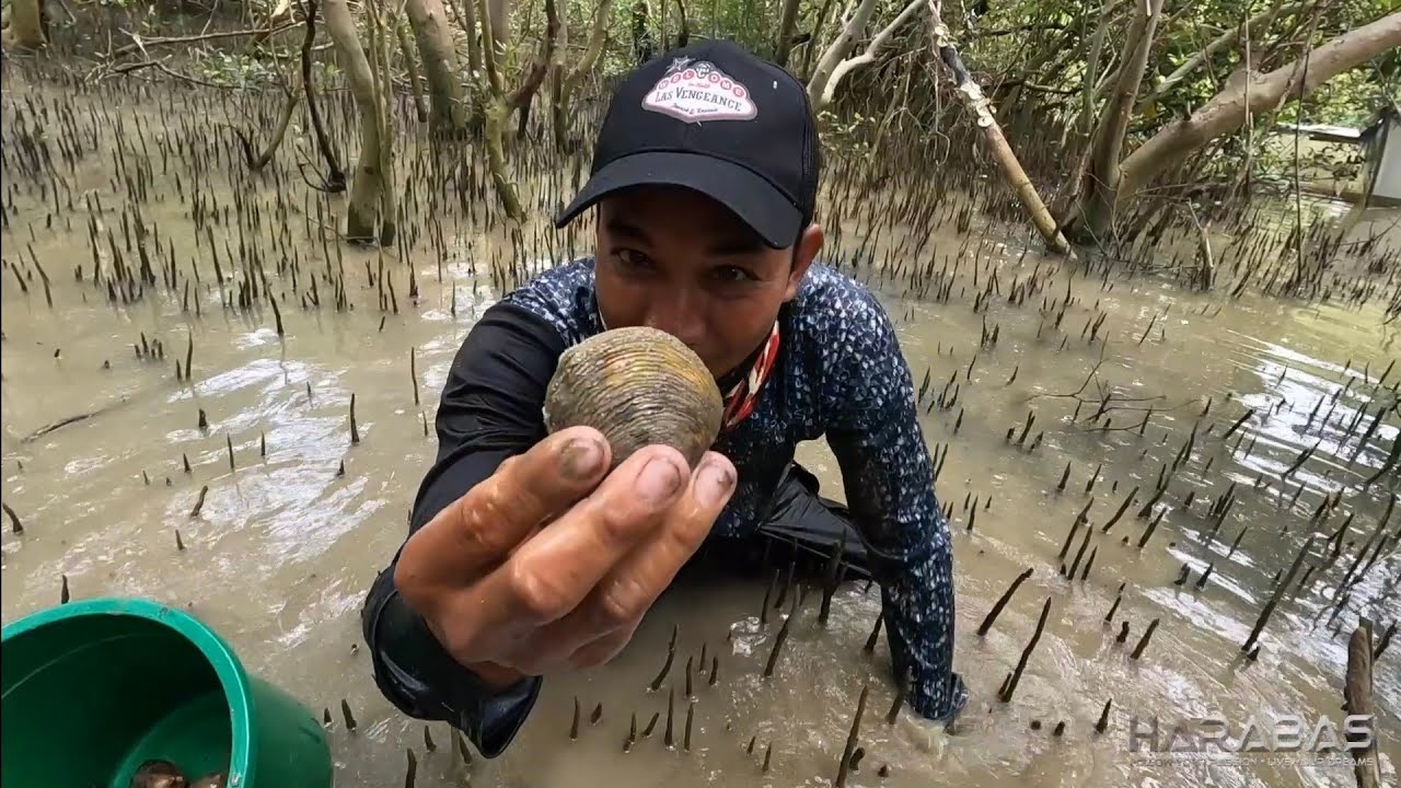 EP764-P1 - Baked Lokan ni Harabuns | Pangunguha ng Lokan - YouTube