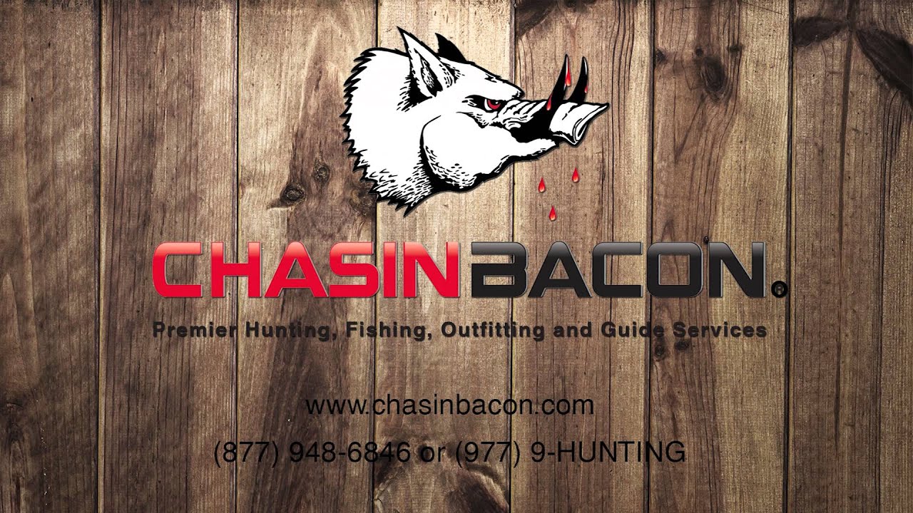 FLORIDA HOG HUNTING PROMO - CHASIN BACON - YouTube