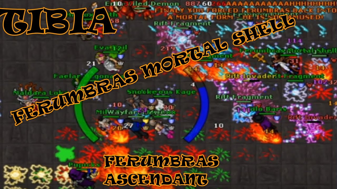Tibia - Last Ferumbras 14/10/2020 #8 - YouTube