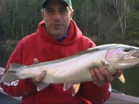 Michigan Fall Steelhead Fishing - Muskegon River - YouTube