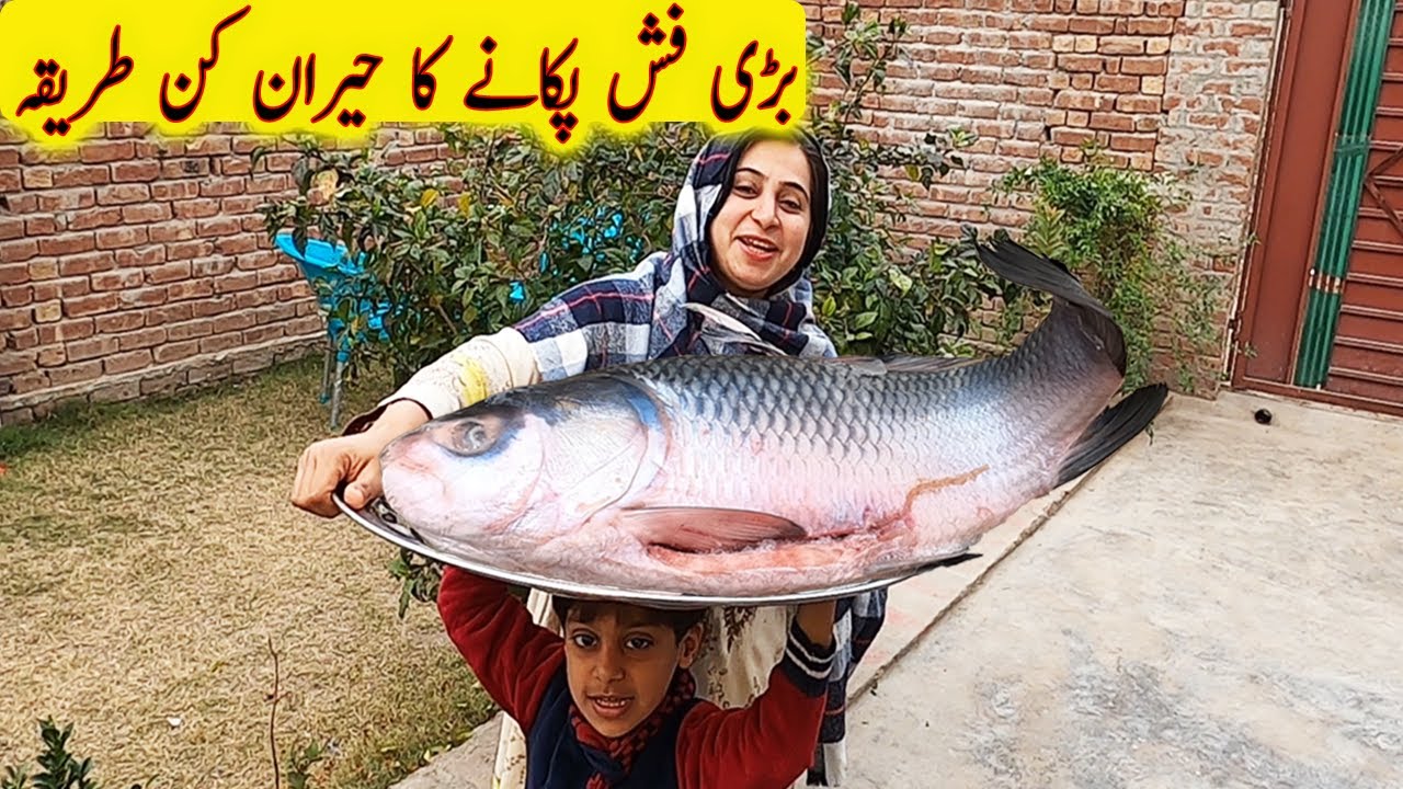 Giant Fish Recipe Rainy Day Cooking , specials Fish - YouTube