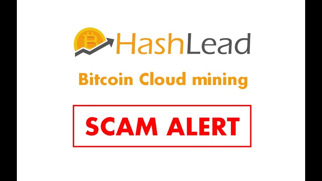 HashLead | Bitcoin Cloud Mining | Scam Alert - YouTube